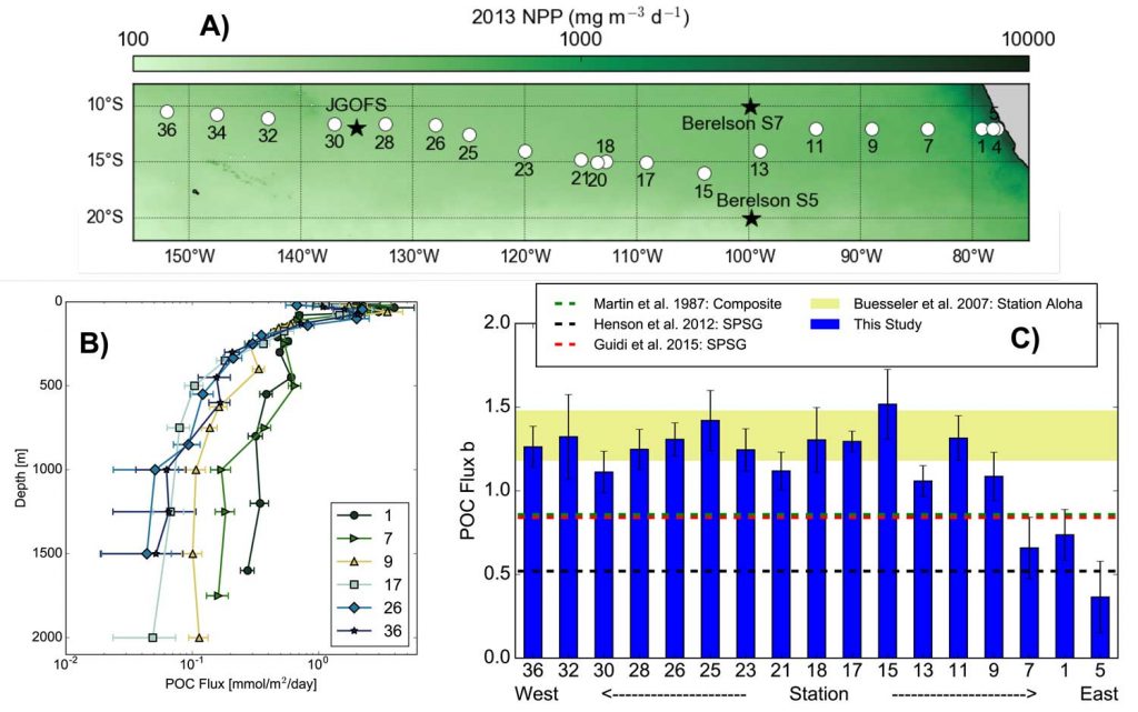 South Pacific particulate organic carbon fate challenges Martin’s Law ...