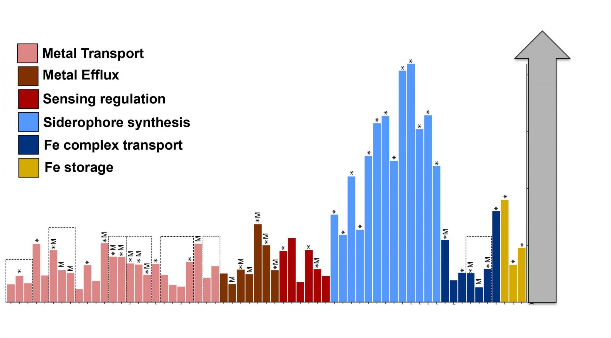Microbial trace metal trafficking on marine particles – GEOTRACES