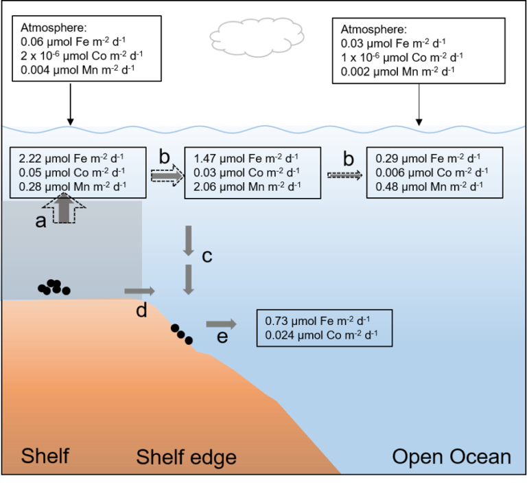 Shelf sediments in the Benguela Upwelling System as a major source of ...