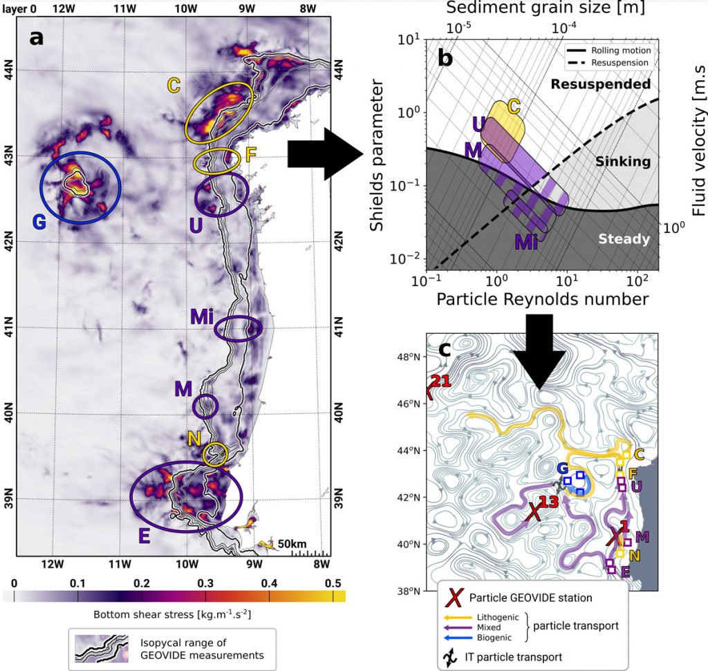 Internal tides, energetic dynamical processes that generate particle ...