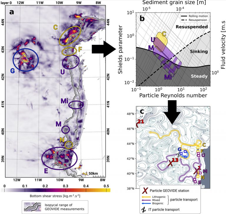 Internal tides, energetic dynamical processes that generate particle ...