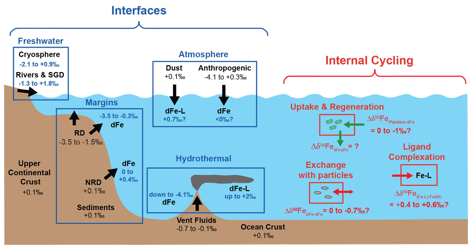 Do you want to know more about iron and its isotopes? This review is ...