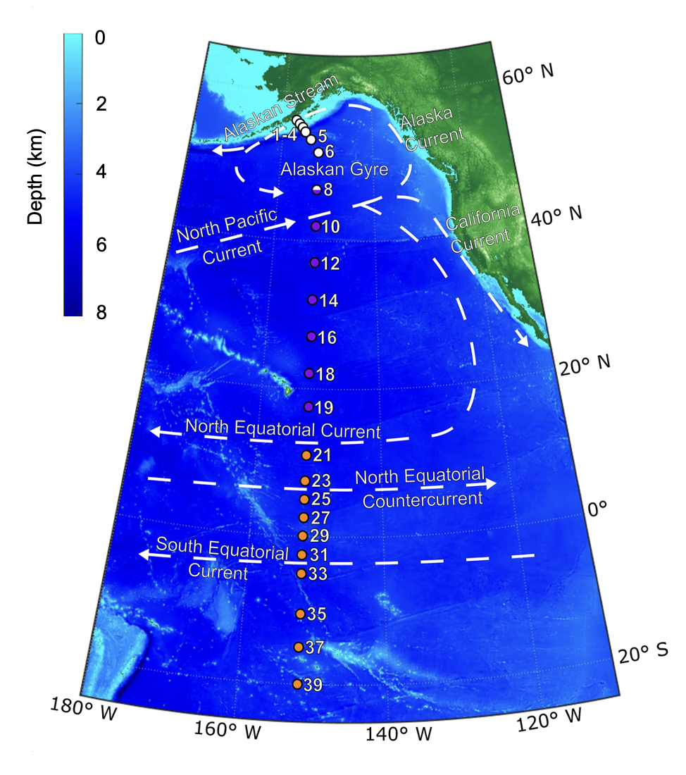 Disentangling what controls the cadmium distribution in the Pacific ...