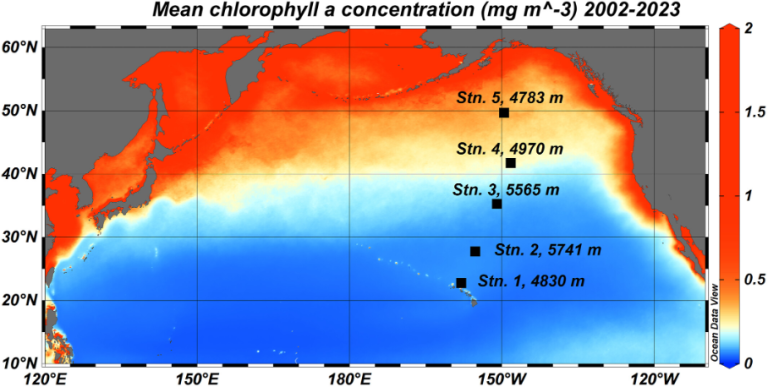 Are the pelagic clay-rich sediments a major source of elements to ...