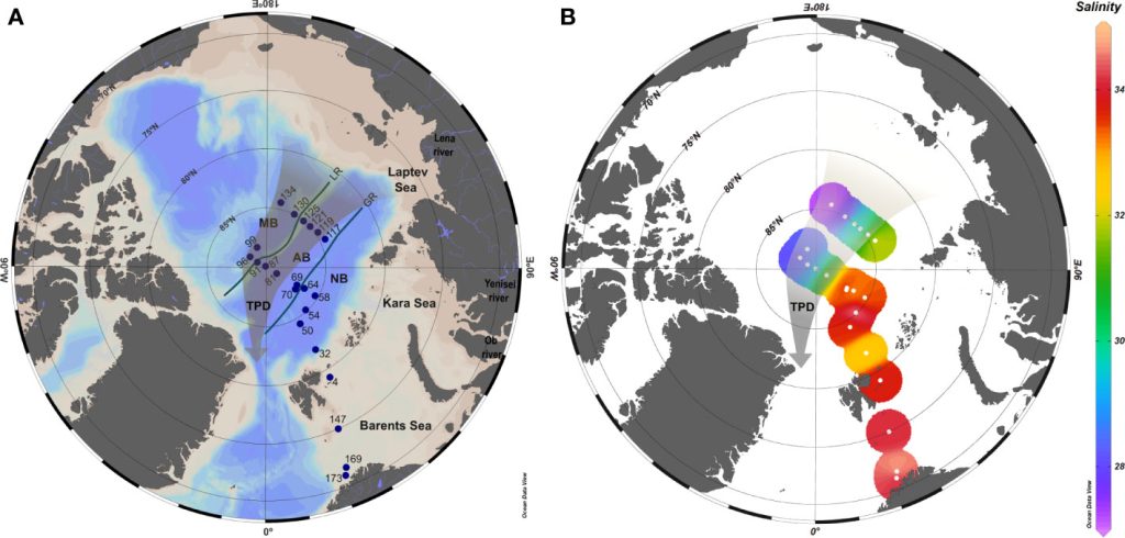 Trans Polar Drift transport controls the dissolved copper-organic ...