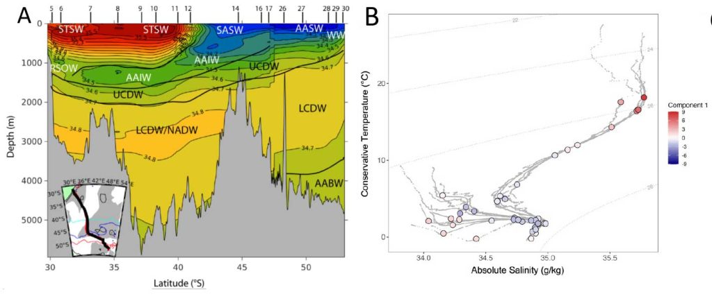 When covariance of trace metals and prokaryotic taxa are tagging water masses (Southern Indian ...