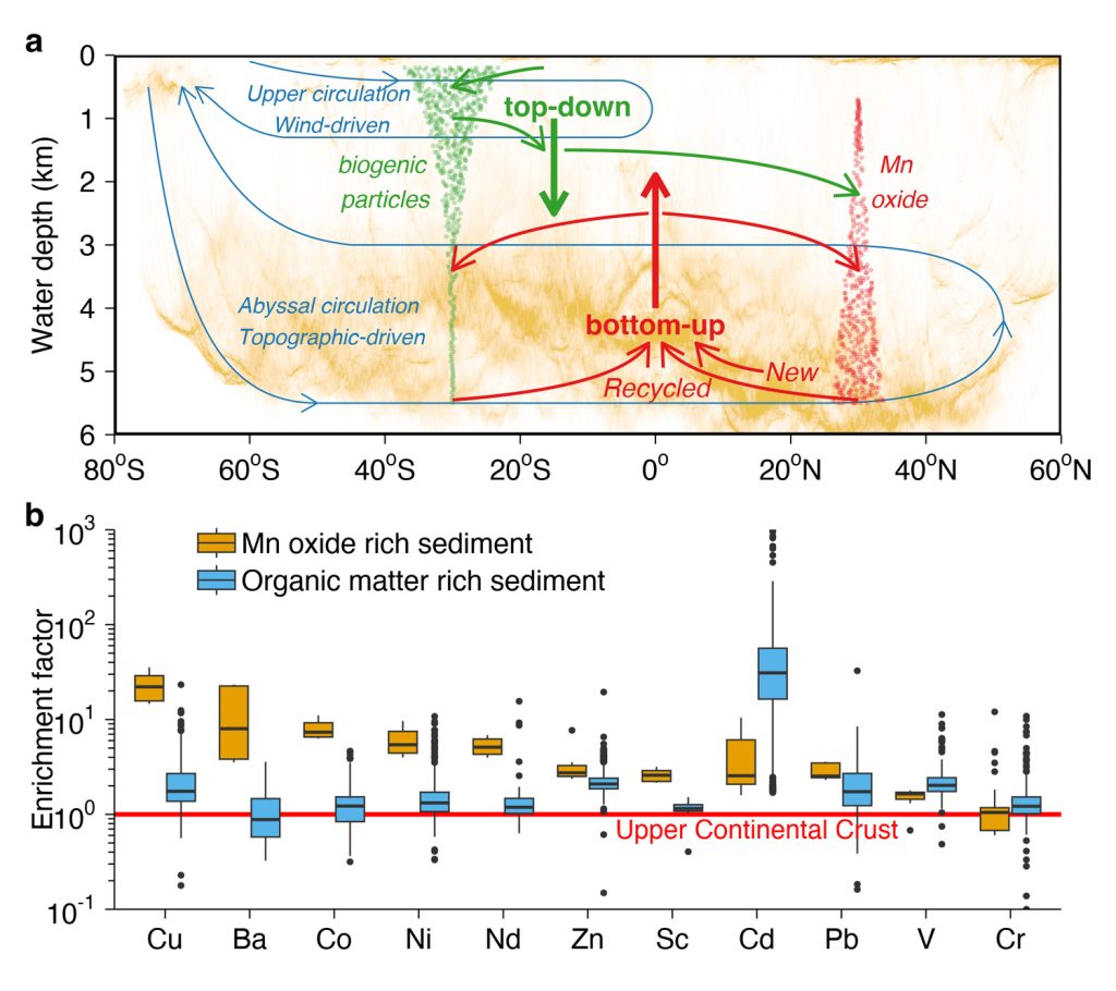Rare Earth and neodymium isotope cycles in the abyssal Pacific Ocean ...