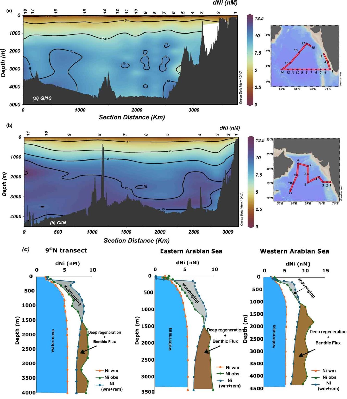 Dissolved nickel sources: transformation and sinks in the Arabian Sea ...